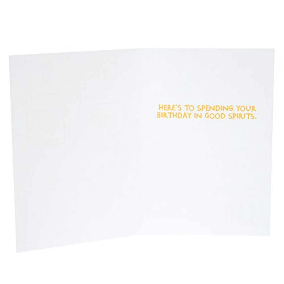 Hallmark Shoebox Funny Birthday Card (Vodka Goldfish)