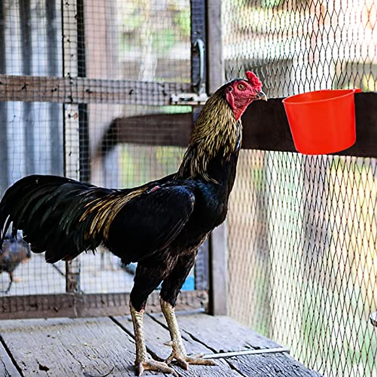 50 Pieces Cage Cups Plastic Hanging Bird Feeding Cups Universal Cage Cups Birds Feeders Seed Bowl Chicken Feeding Watering Dish with Hooks for Pet Pigeon Parrot Parakeet Poultry (Red)