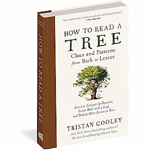 How to Read a Tree: Clues and Patterns from Bark to Leaves (Natural Navigation)
