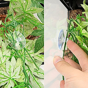SLSON Reptile Plants Hanging Silk Terrarium Plants with Suction Cup for Bearded Dragons,Lizards,Geckos,Snake Pets and Hermit Crab Tank Habitat Decorations,Small Size,12 inches