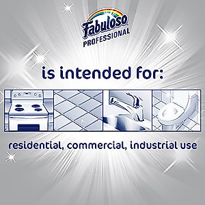 Fabuloso Professional All Purpose Cleaner & Degreaser - Lavender, 1 Gallon (Pack of 1)