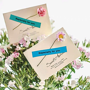 Compatible with Dymo Plastic Label Tape, Replacement for Dymo Letratag Label Refills 12mm x 4m 1/2 x 13 Color Tape 91331 91330 16952 Work for Dymo Letra Tag LT-100H LT-100T QX50