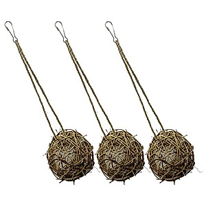 HANABASS 3pcs Bird Chewing Toys Foraging Shredder Toy Parrot Cage Foraging Hanging Toy Bird Grinding Toys for Cockatiel Parrot Small Birds Animal