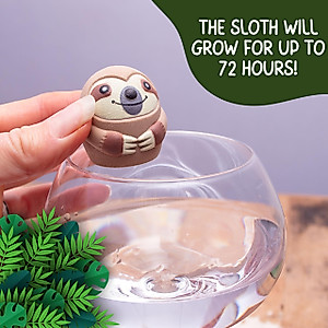 Boxer Gifts Water Growing Toys – Sloths Stocking Stuffers Kids & Adults-Fun Pass The Parcel Gifts & Bingo Items, Brown
