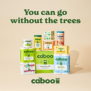 Caboo Tree Free Bamboo Paper Napkins, 4 Packs of 250, 1000 Total Napkins, Eco Friendly, Sustainable, and Disposable Kitchen Napkins