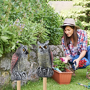 Hedoc 2 Pack Fake Owl Decoys to Scare Birds Away from Gardens and Rooftop, Long-Eared Owl Bird Deterrents, Nature Scarecrow Plastic Owls Pest Repellent, Owl Statue for Garden Decor, Yard Decoration