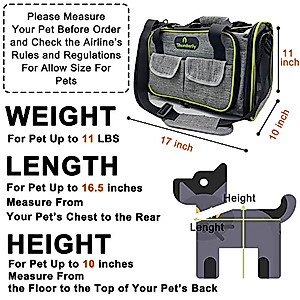 Thumberly Cat Carrier Soft-Sided - Pet Carrier Airline Approved for Medium Cats, Small Animals and Puppy Under 15 Lbs, Small Dog Carrier 1 Side Expandable - Size Small