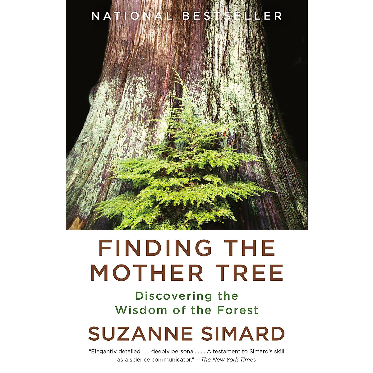 Finding the Mother Tree: Discovering the Wisdom of the Forest