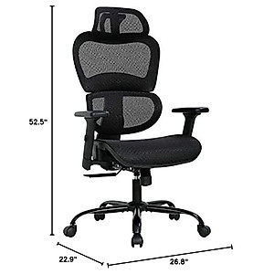 Home Office Chair Mesh Desk Chair Ergonomic Oiifce Chair with 3D Arms Back Lumbar Support Swivel Rolling Task Chair(Black)