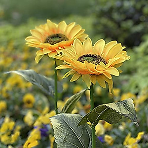 FELISHINE Solar Sunflower Stake Garden Lights, 2 Pack Waterproof LED Outdoor Lights,Large Realistic Flowers for Courtyard, Front Yard Backyard Pathway Patio Porch Walkway