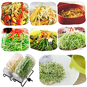 Lulonpon 2 Sprouting Jar Kit, Wide Mouth Quart Mason Jars with Stainless Steel Screen Sprout Lids, 86mm,1000ml,Stand,Tray and Canning Brush,Seed Sprouter Set for Growing Broccoli, Alfalfa, Mung Bean