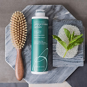 Brocato Peppermint Scrub Purifying Shampoo: Lightweight with Pure Peppermint Oil, Ideal for Oily to Normal Hair Types - Sulfate & Paraben Free, 32oz