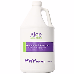 Aloe Concentrated Shampoo 1 Gallon