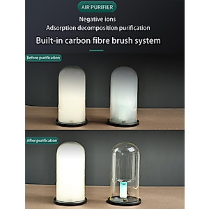 HEYAXA Travel Air Purifier, Wearable Air Purifier Necklace, Portable Mini Air Ionizer Eliminates Pollen, Smoke, Dust for Outdoor, Travel