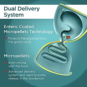Micrazym AVVA Pharmа Pancreatic Enzymes - 25,000 USP Effective Pancreatic Enzyme Supplements - Digestive Enzymes for Digestion - 50 Fast-Acting Capsules with Amylase, Lipase and Protease