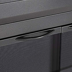 Pleasant Hearth CR-3400 Craton Fireplace Glass Door, Gunmetal, Small