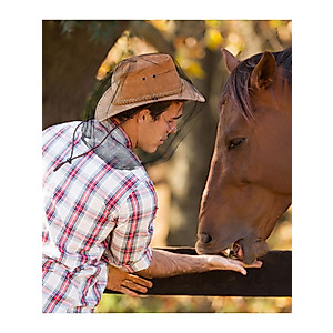 2 Pack Head Net Face Mesh Head Cover for Outdoor Lovers Protect from Fly Screen Mosquito Gnat and Other Flies (Regular Size, Grey)