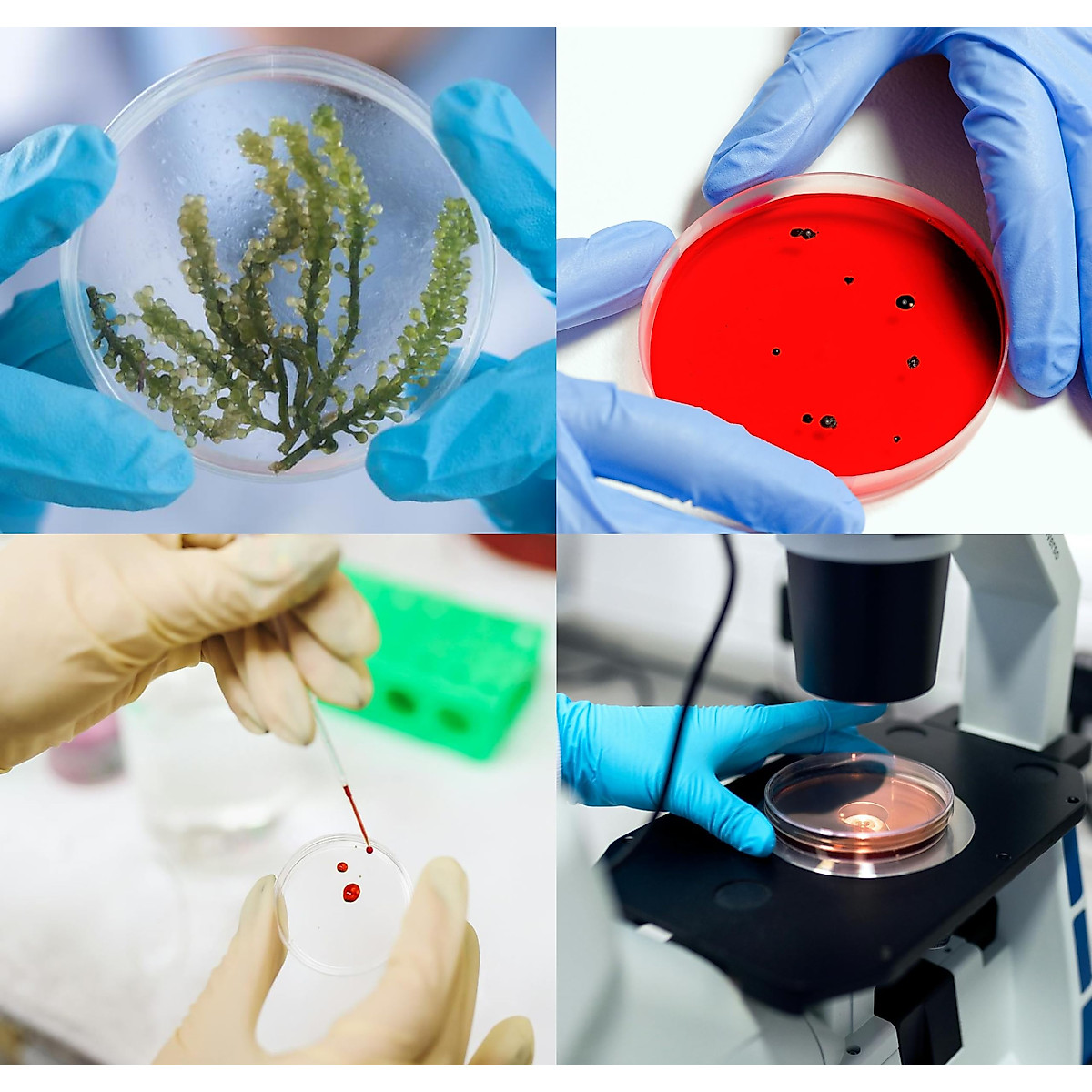 Labnique Polystyrene Petri Dish with Vented Lid, 90mm, Sterile (20)