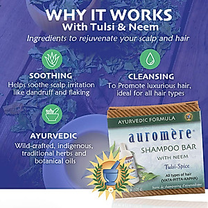 Auromere Ayurvedic Shampoo Bar - Eco Friendly, Handmade, Vegan, Cruelty Free, Natural, Non GMO, All in One Bar for Soap and Shampoo (4.23 oz), 1 pack