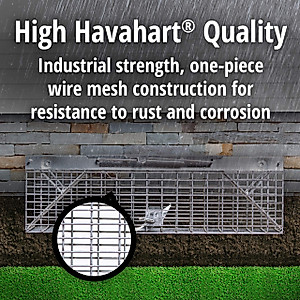 Havahart 1025 Small 2-Door Humane Catch and Release Live Animal Trap for Squirrels, Chipmunks, Rats, Weasels, and Small Animals