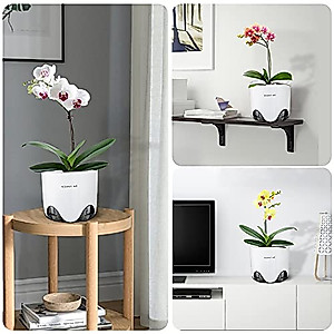 Meshpot 5 inch Orchid Pots with Holes for Repotting,Set of 2,Double Layer Plastic Imitate Ceramic Orchid Planter Provide Good Air Circulation,Clear Orchid Pot Match Decorative Orchid Container