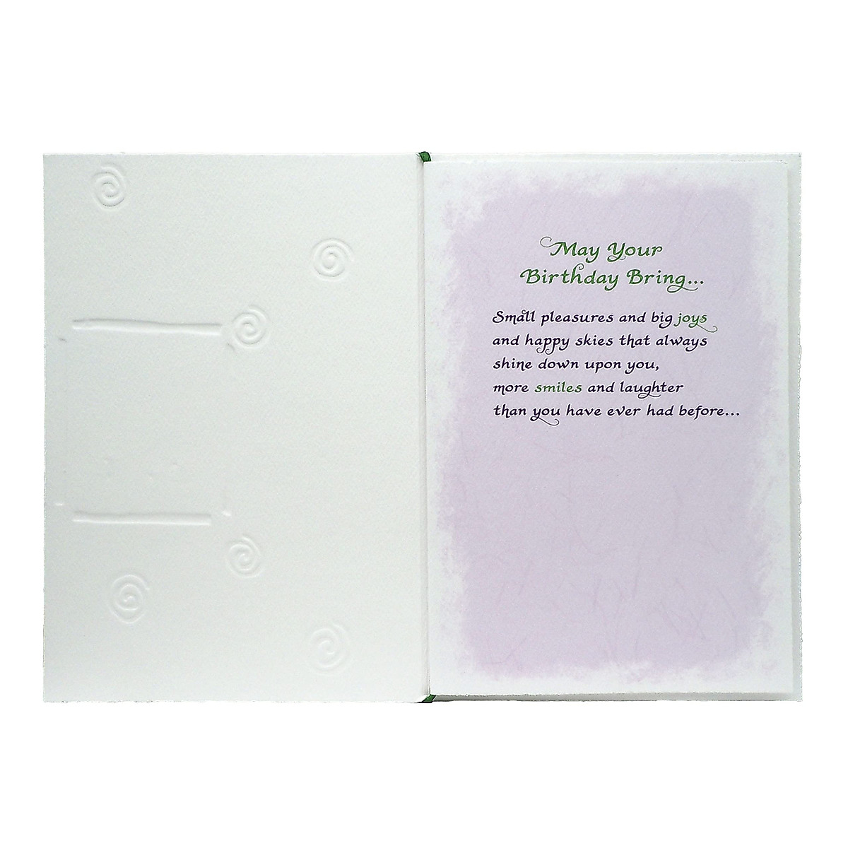 Blue Mountain Arts Birthday Card—Birthday Wishes for a Friend, Family Member, or Someone Special in Your Life (May Your Birthday Bring…)