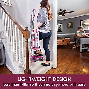 Kenmore DU5092 bagless upright vacuum carpet cleaner 2-motor power suction with hair eliminator brushroll, pet handi-mate, 2L, Wine W/Lift-up Design