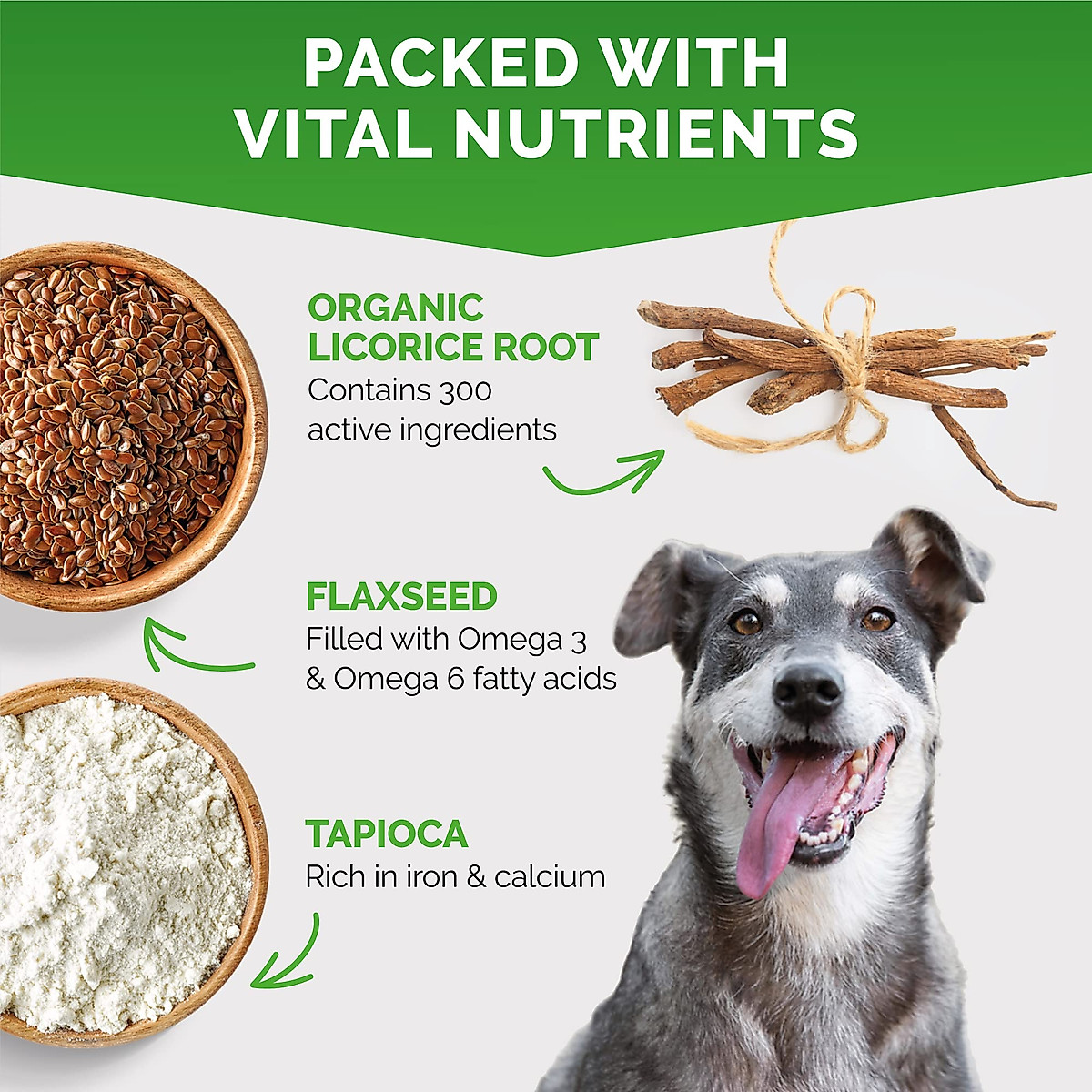 Premium Care Cranberry Bladder Chews - Dog Supplements for Urinary Tract (UT) Health, Bladder and Kidney Support - Cranberry Chewables with Vitamins for Better Bladder Control for Dogs - 120 Chews