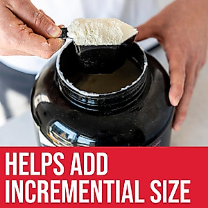 Rule One Proteins, R1 Clean Gainer - High-Protein Lean Gain Formula with 560 Calories, 30g of Full-Spectrum Protein, Over 90g Carbs, Under 6g of Fat (15 Servings, Chocolate Peanut Butter)