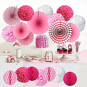 Cocodeko Hanging Set, Tissue Paper Poms Flower Fan and Honeycomb Balls for Birthday Baby Shower Wedding Festival Decorations-Pink, 3 Gram