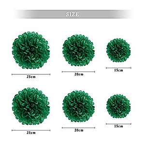 Binpeng Paper Pom Poms Hanging Paper Flower Ball Wedding Party Celebrations Decorations Outdoor Decoration Flowers Craft for Party Birthday party (deep green 6pcs)