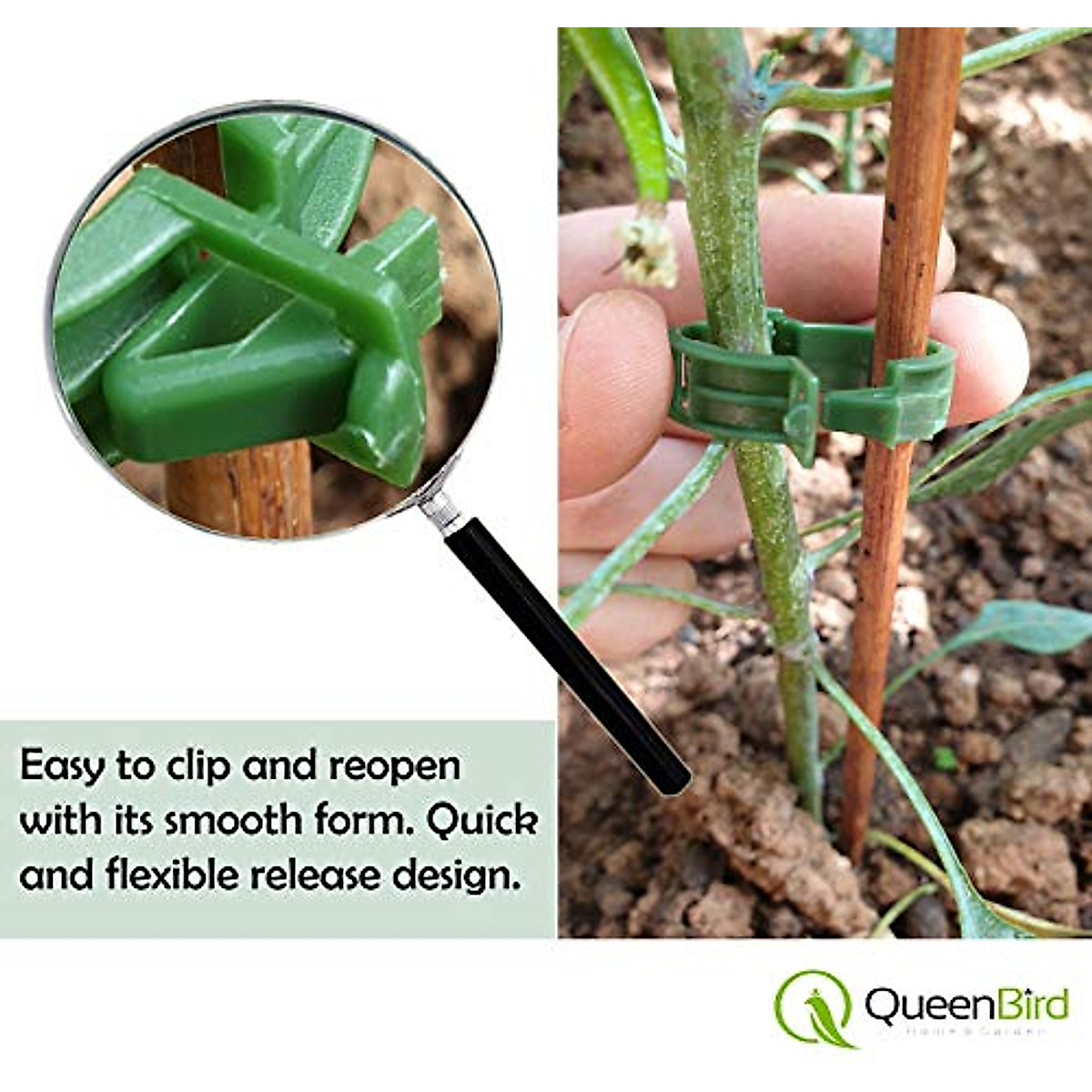 QueenBird Plant Clips - 200 PCS - Green - Garden Clips for Tomato and Other Vine Plants - Trellis Clips - Tomato Plant Support - Upright and Healthier Grow