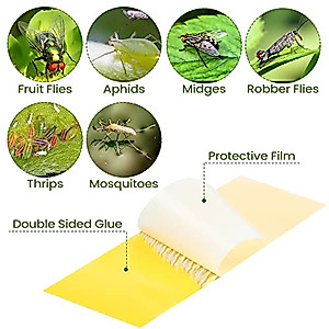 150 Pack Sticky Houseplant Traps Stakes Yellow Insect Trap Fungus Gnat Sticky Trap for Indoor Outdoor Garden Houseplant Fungus Gnat Fruit Flies Mosquito