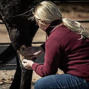 Redmond Red Edge Equine Poultice, Natural Soothing Clay for All Horse Breeds, 8.5lb Bucket