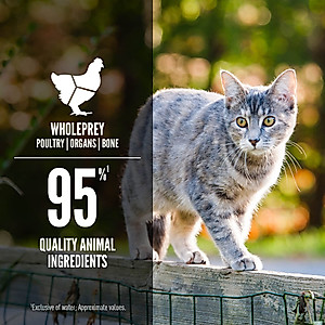 ORIJEN Original Entree in Bone Broth Wet Cat Food, WholePrey Ingredients, 3 oz (Case of 24)