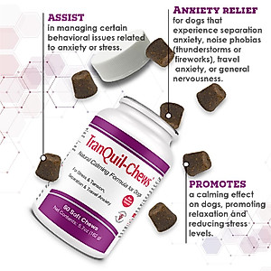 Pet Health Solutions Tranquil-Chews Calming Formula for Dogs - Anxiety, Stress, Travel, Fireworks Relief for Dogs - Chamomile - Beef Flavored Chews, 60 Soft Chews