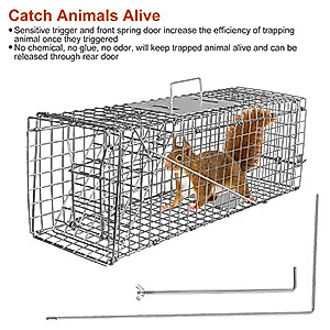 Moclever Humane Rat Trap Cage Catch Release Live Rat Traps Live Traps for Rat Live Animal Rodent Cage Collapsible Galvanized Wire for Small Raccoons Beavers Groundhogs Foxes Armadillos-23.3X7.7X7.2In