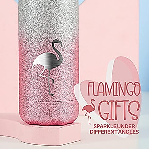 Onebttl Flamingo Bottle Gifts for Women, Girls, Her - 17oz/500ml Stainless Steel Insulated Water Bottle - Flamingo Gifts for Flamingo Lovers - (Pink Sliver Gradient)