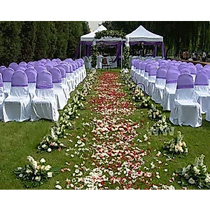 KnR Harmony Rose Flower Petals White 1200pcs Silk Petals for Wedding Romantic Night Table Confetti Valentine's Day Decoration