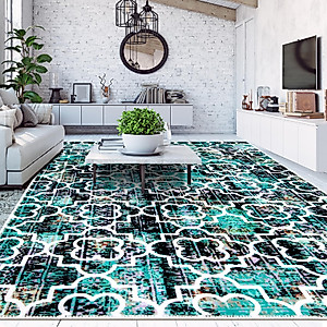 VFROO Area Rugs 5x7 Washable Rug for Living Room,Non-Slip Non-Shedding Ultra-Soft Floor Carpet for Home,Office, Dining Room,Bedroom (Style A)