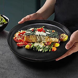 Vidalenta Porcelain Dinner Plates Set of 4, 10 Inch Salad Plate Set, Ceramic Pasta Plate Set Serving Dishes Small Plates Modern Dinnerware Set, Microwave Oven and Dishwasher Safe, Matte Black