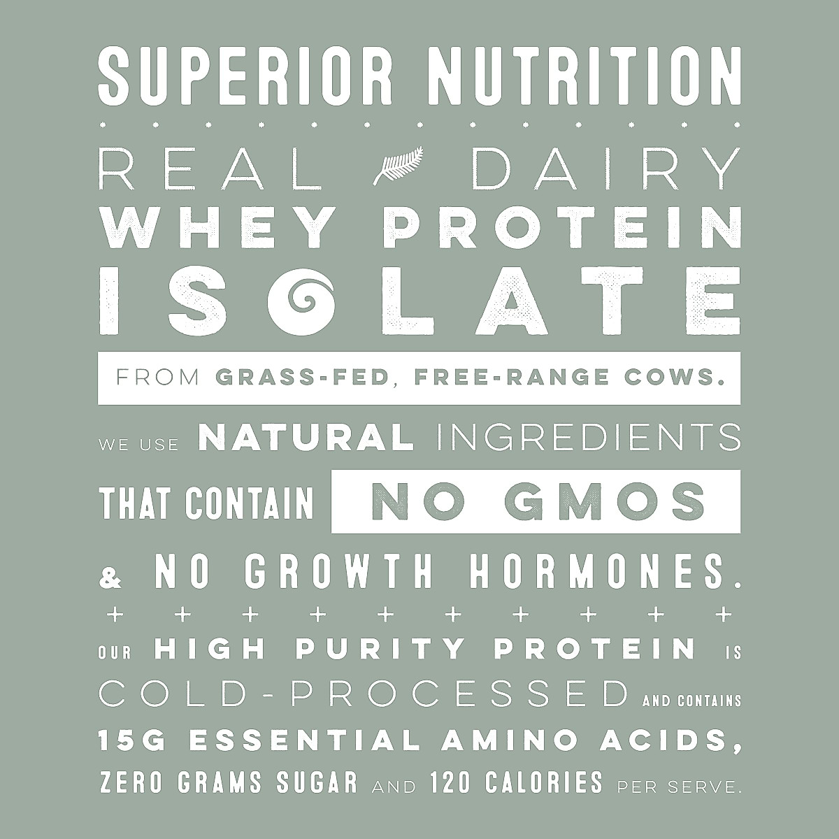 Pounamu Natural Whey Protein Isolate Powder, 28g Protein, 7.3g BCAAs, 4g Leucine | New Zealand Free-Range, Grass-Fed Dairy | Gluten-Free, Keto, Kosher | 2LB, 30 Servings