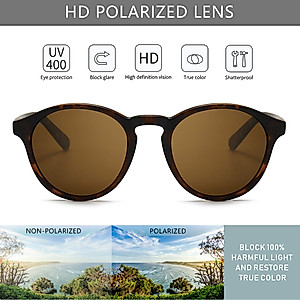 SUNGAIT Women's Classic Vintage Round Polarized Sunglasses Retro Style UV400 (Amber Frame(Matte Finish)/Brown Lens) SGT166 HPKC