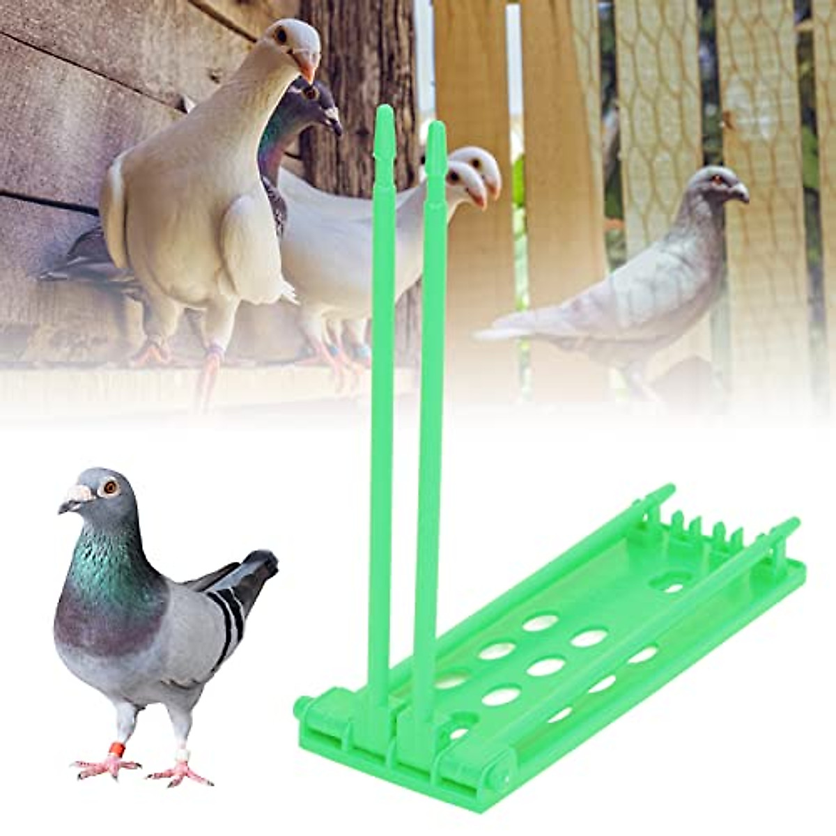 Pilipane Pigeons Foot Rings Frame, 4 Column Wear Resistant Foot Independent Design,Pigeons Bands Rack Frame Rotatable Foot Ring Pigeons Supplies,for s Chicken Duck Eagle Foot(Green), Pigeons Foot Ri