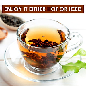 Earth BOTANIC Organic English Breakfast Black Tea Bags Chinese Keemun & Indian Assam Blend - Eco-Conscious Tea Bags in Kraft Bag - 100 Tea Bags