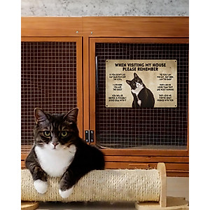 ALKB Funny Tuxedo Cat-Themed Sign 8x12 Inch - Visitor’s Guide to Interacting with Cats - Gift for Cat Lovers’ Home Decor