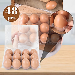 LOVEINUSA 48PCS Clear Egg Cartons, Plastic Egg Holders Egg Cartons Cheap Bulk for Home Ranch Chicken Farm Market Display 12-cavity