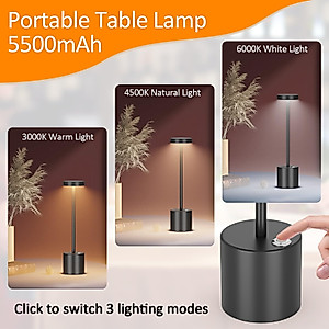 Howskys 2 Pack USB Rechargeable Desk Lamp, Modern LED Cordless Desk Lamp, 5500mAh 3 Tone Light Touch Desk Lamp for Dining Room/Indoor/Outdoor (Black)