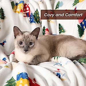 Cozy Bliss White Reversible Sherpa Throw Blanket for Couch, Ski Resort Print Plush Blanket for Teenage Gift, Super Soft Warm Spring Throw Blanket for Sofa Bed Travel Camping (White, 50"x60")