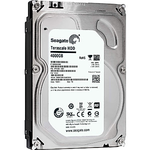 Seagate 4 TB Terascale HDD SATA 6Gb/s 64MB Cache 3.5-Inch Internal Bare Drive (ST4000NC000) (Renewed)